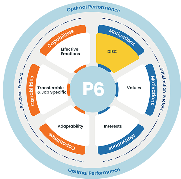 Potentia P6 DISC Assessment - Personal Work Style and Motivation Assessment